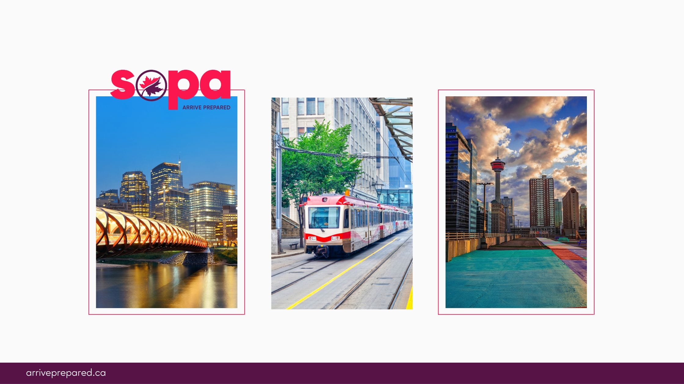 Guest Post: The Adventure – My New Life in Calgary - Settlement Online ...